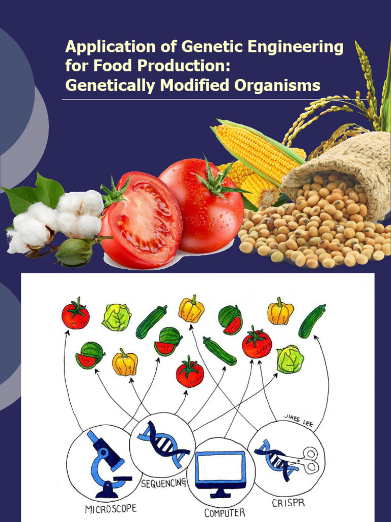Genetic Engineering in Food Production | PDF | Genetically Modified ...