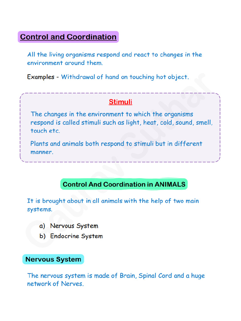 6. Control and Coordination | PDF