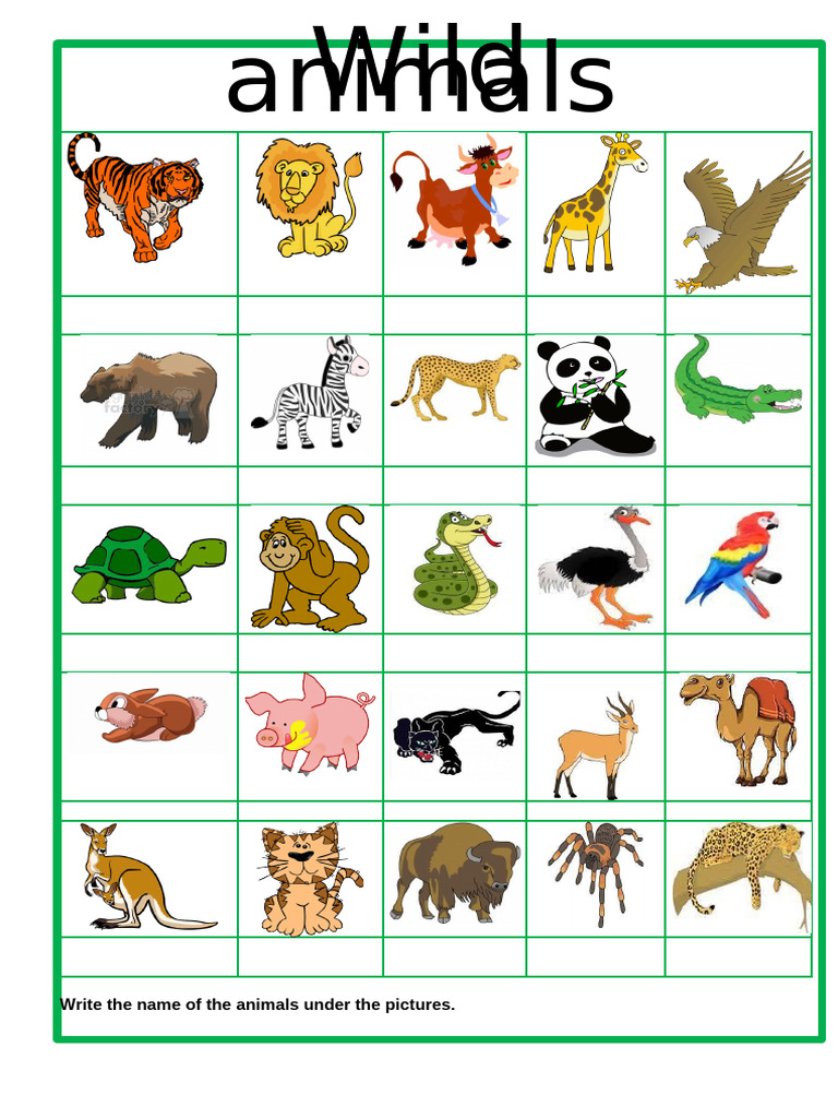 Wild Animals Classroom Posters Picture Dictionaries 97903 4 | PDF