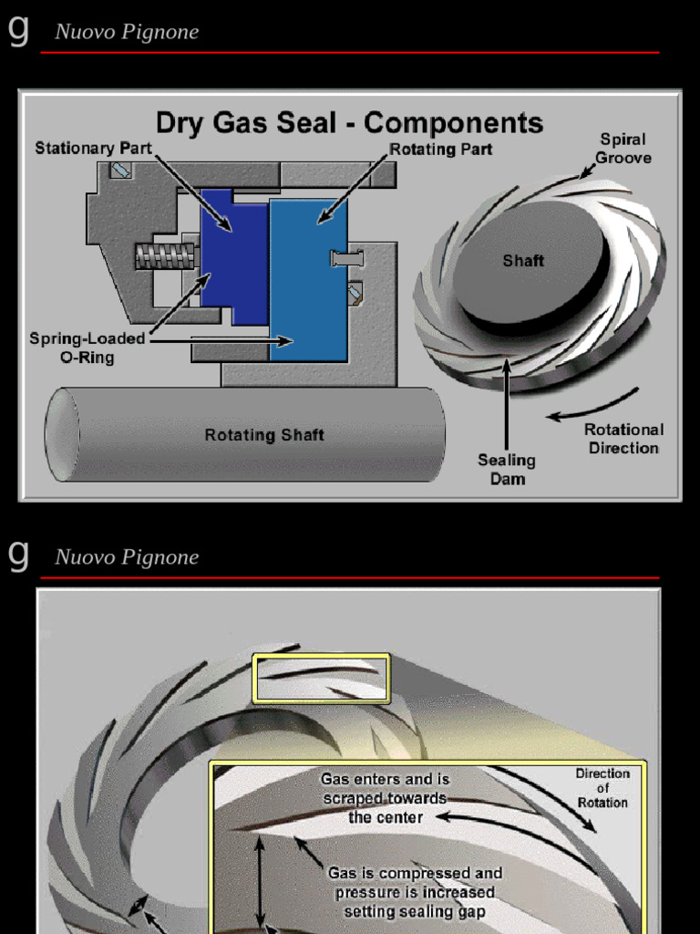 Dry Gas Seals | PDF
