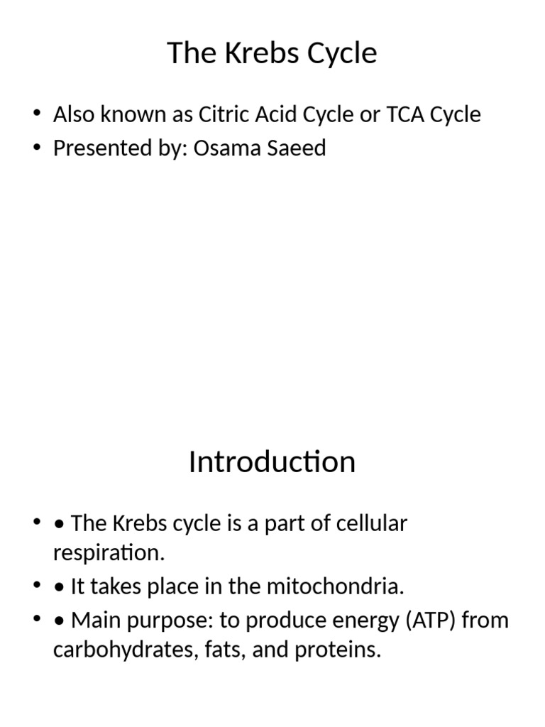Understanding the Krebs Cycle Explained | PDF