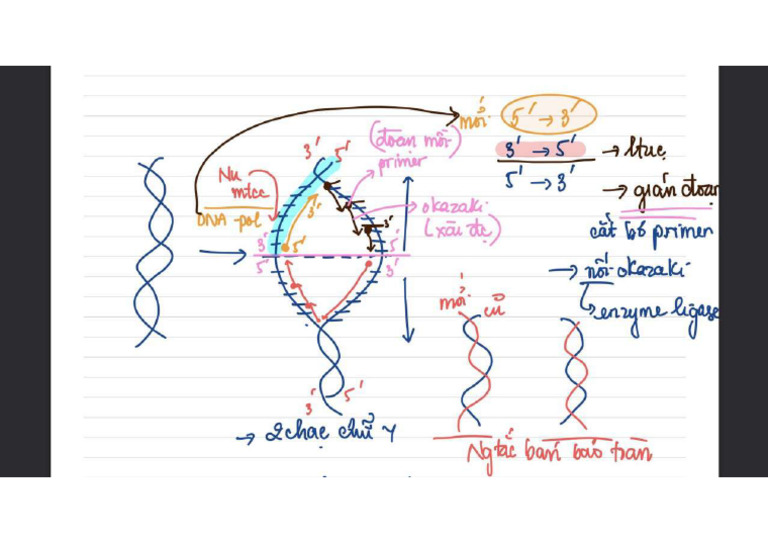 _2.8____sinh_h_c___lt_gene_v__c__ch__truy_n_th_ng_tin_dt___c__tuy_n_175765097187243647401 | PDF