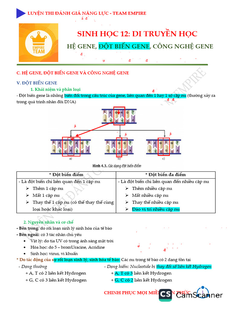 _21.8____sinh_h_c___lt_h__gene__c_ng_ngh__gene____t_bi_n_gene___c__thanh_tuy_n ...