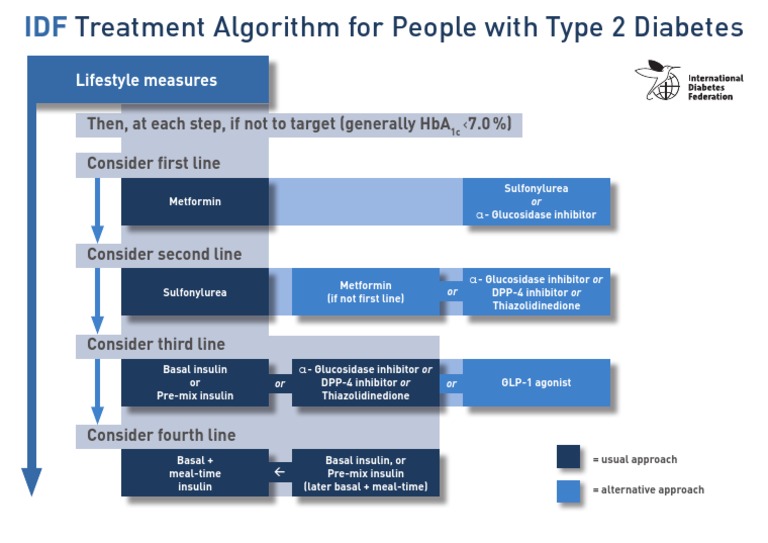IDF Type 2 Diabetes Treatment Algorithm | PDF | Self-Improvement | Wellness