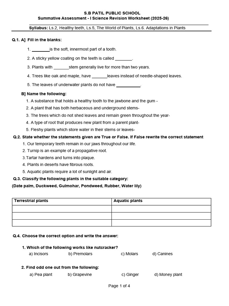 Science Revision Worksheet for Grade 5 | PDF | Tooth | Trees