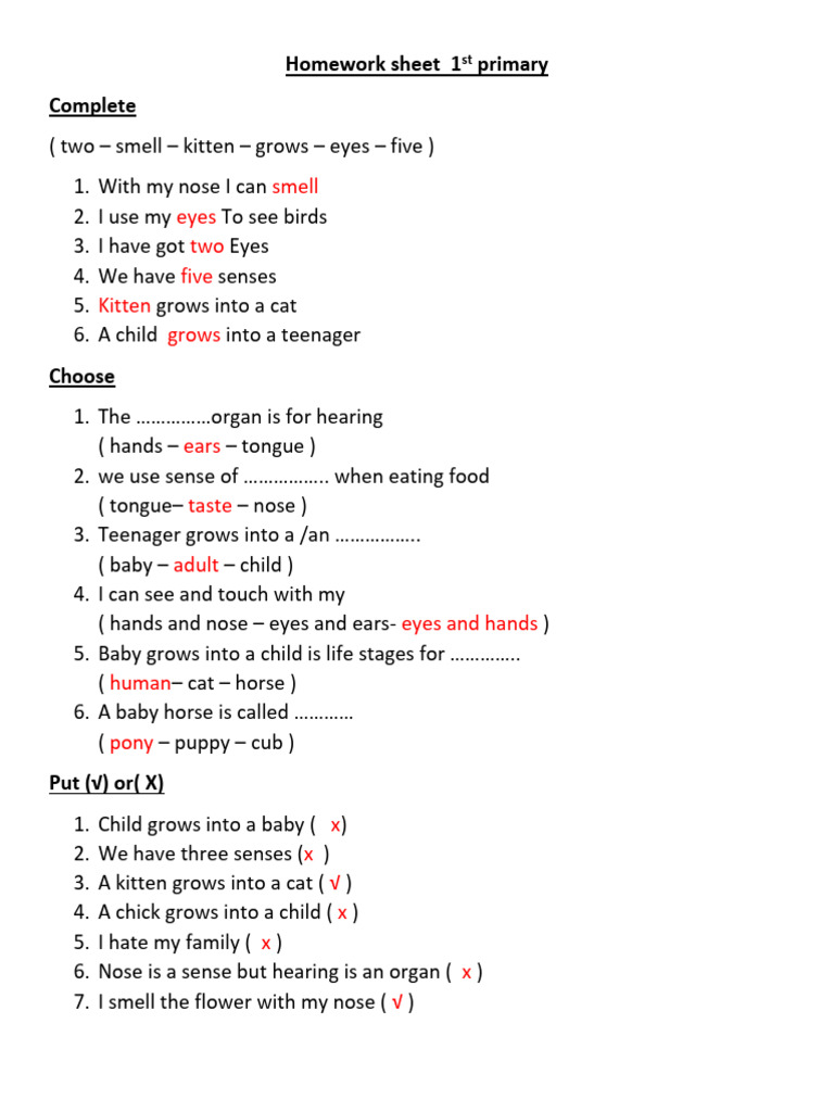 1st Primary Answers | PDF