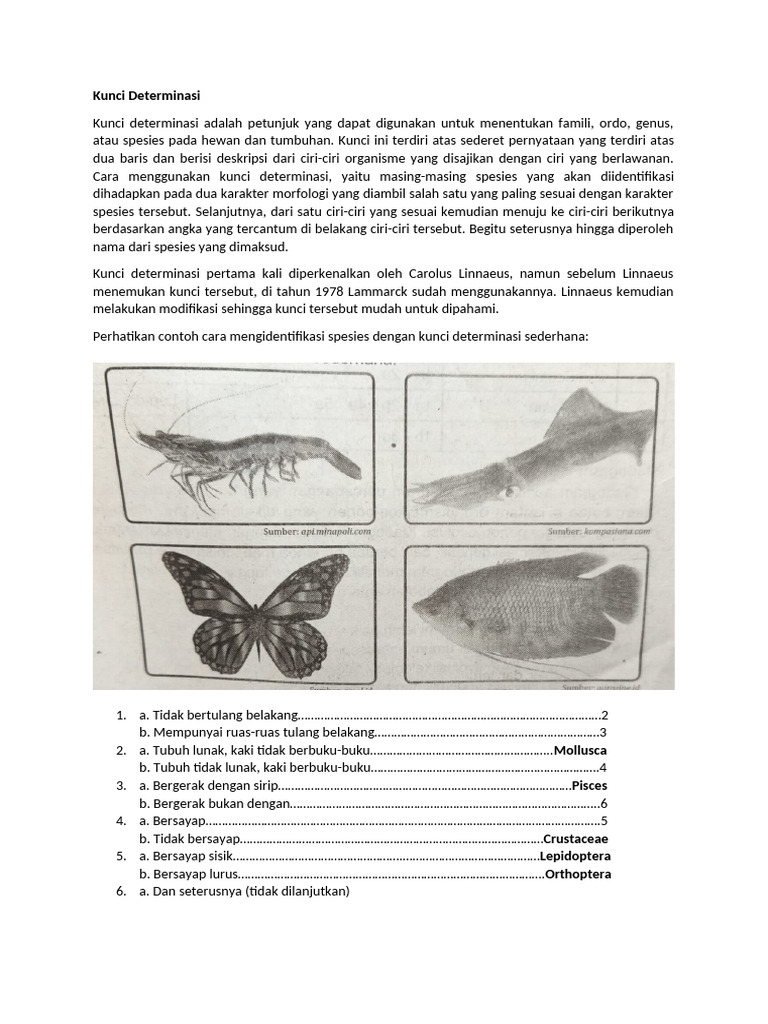 Kunci Determinasi Spesies Hewan | PDF