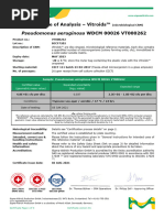 Riboflavin Testing for CIP Spray Coverage | PDF