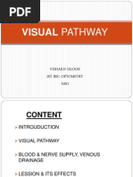 Visual Pathway Anatomy and Physiology | PDF | Visual System | Cerebral ...