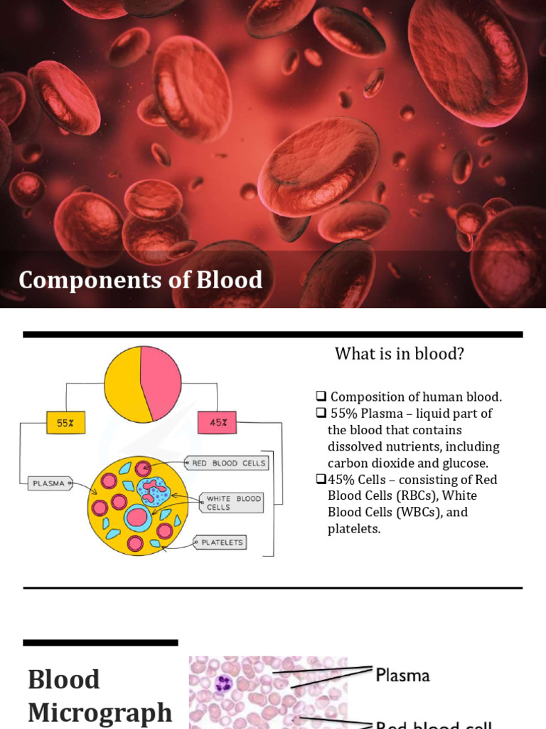 Grade 7 Unit 1.5 Components of Blood | PDF | Blood | Red Blood Cell