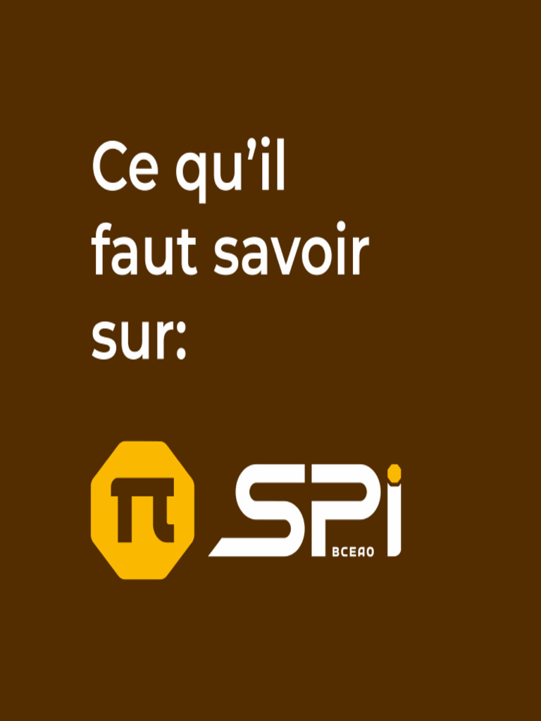 Ce Qu'il Faut Savoir Sur La PI-SPI - 1760266254 | PDF
