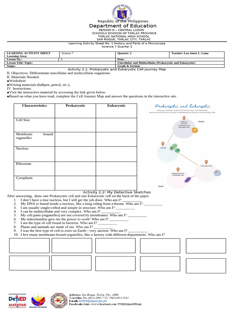 Learning Activity Sheets 2 Prokaryotic and Eukaryotic Cells | PDF ...