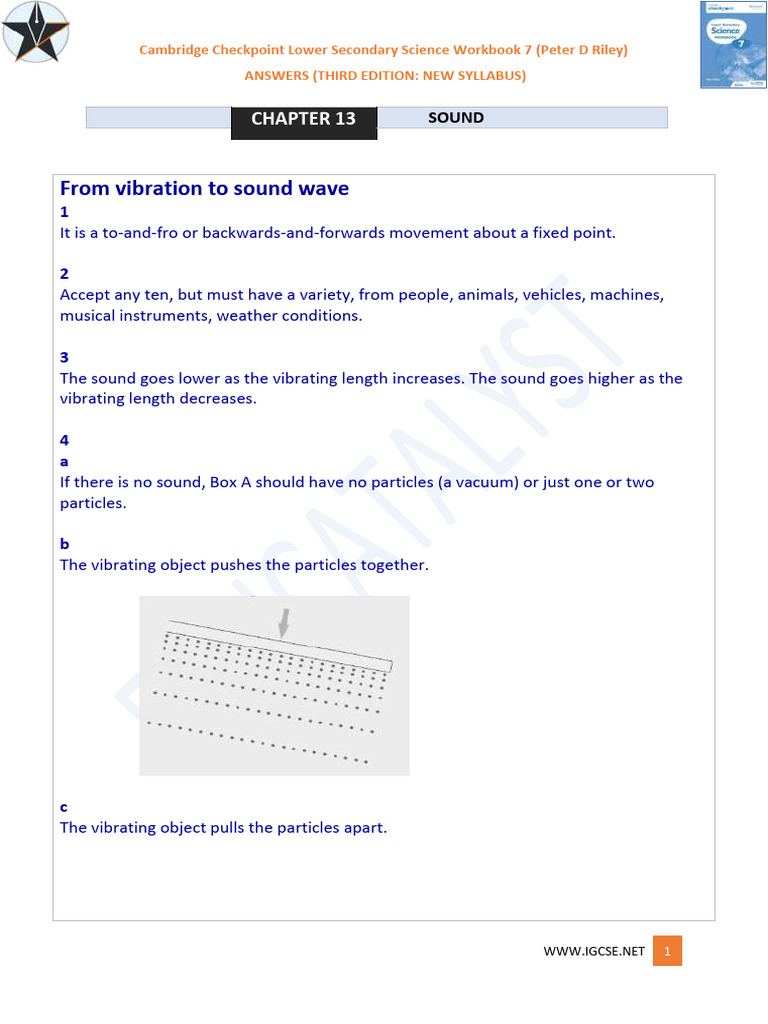 WORKBOOK 7 CHAPTER 13 Min | PDF | Sound | String Instruments