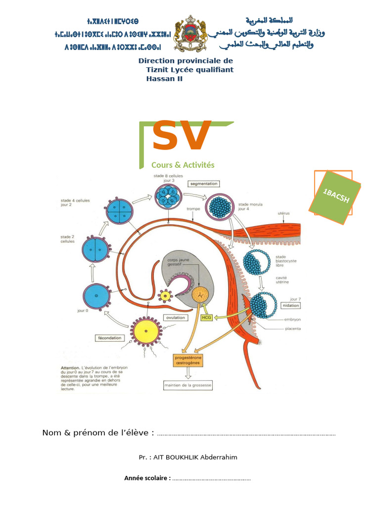 Cours sur la reproduction humaine 1BACSHF | PDF | la reproduction ...