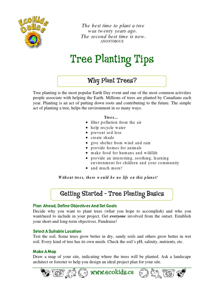 Tree Planting | PDF | Trees | Mulch