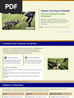 AKC Novice Trick Dog Checklist | PDF | American Kennel Club | Dogs