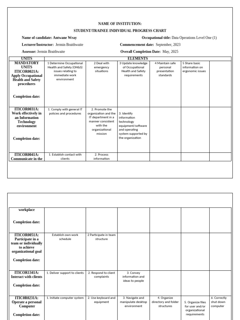 Data Operations Individual Progress Chart | PDF | Databases | Spreadsheet