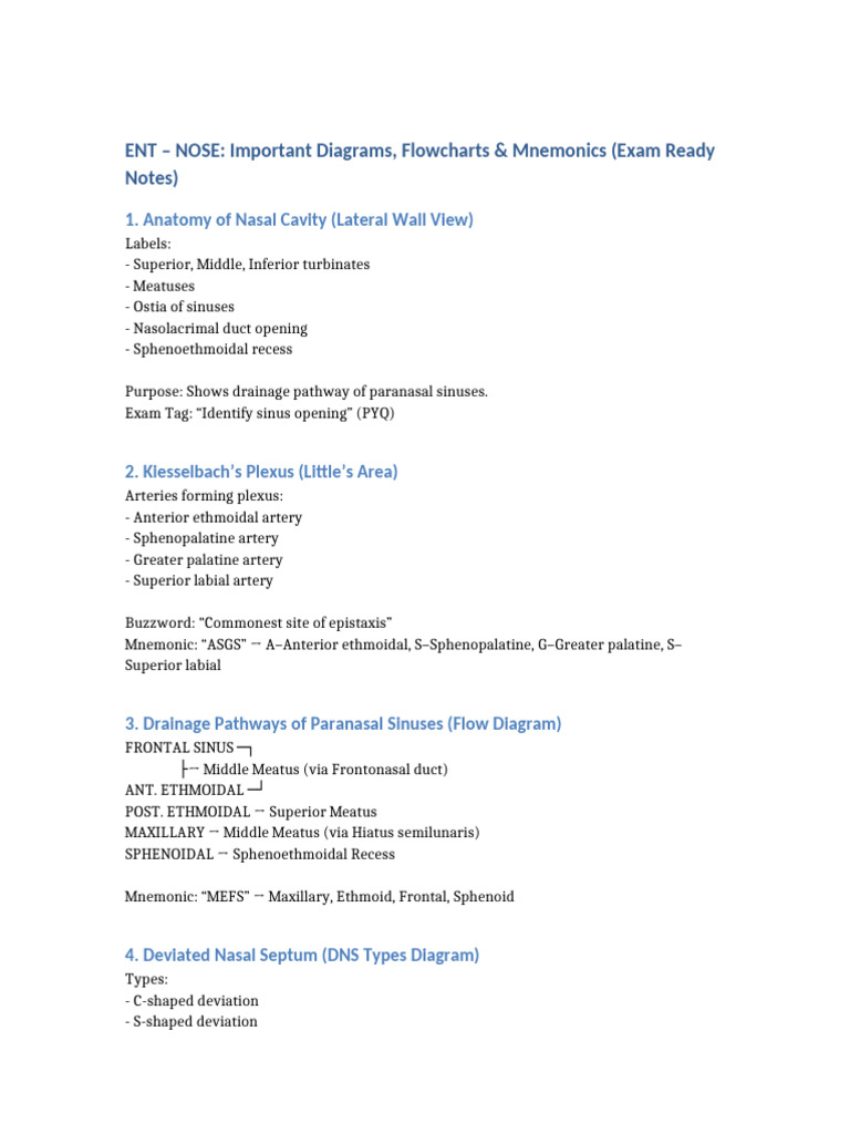 Essential ENT Nose Exam Notes | PDF | Human Nose | Human Anatomy