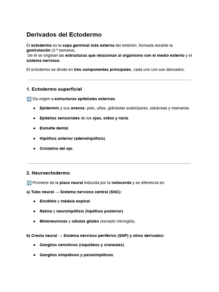 Derivados del Ectodermo en Embriología | PDF