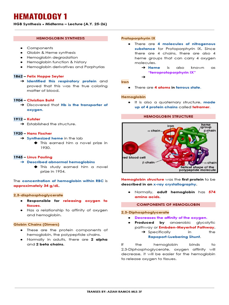 Hema Lec M HGB Synthesis | PDF | Hemoglobin