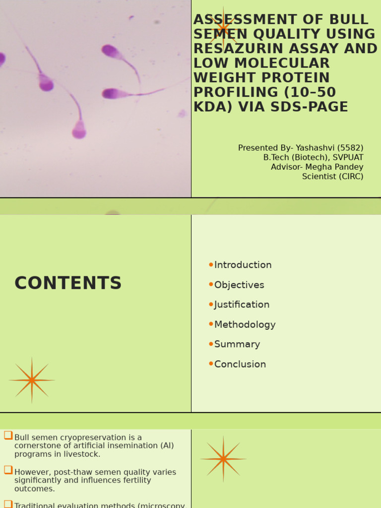 Assessment of Bull Semen Quality Using Resazurin Assay | PDF | Gel ...
