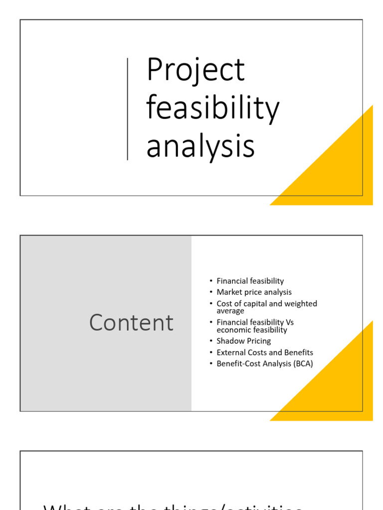 Project Feasibility Analysis | PDF | Cost | Externality
