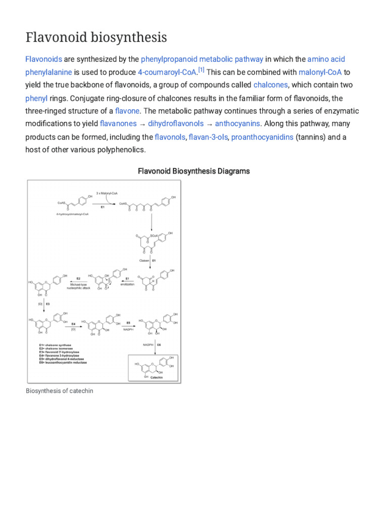 Flavonoid Biosynthesis - Wikipedia | PDF | Flavonoid | Biosynthesis
