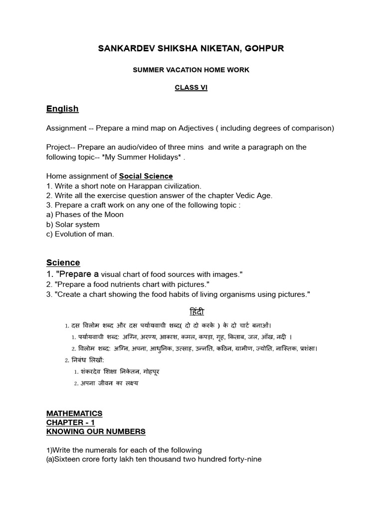 Class VI Summer Homework Assignments | PDF | Input/Output | Computer ...