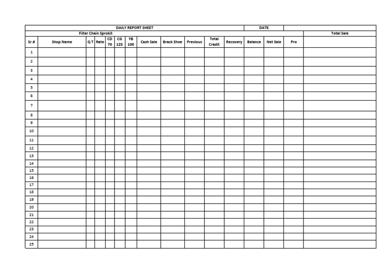 Daily Report Sheet | PDF