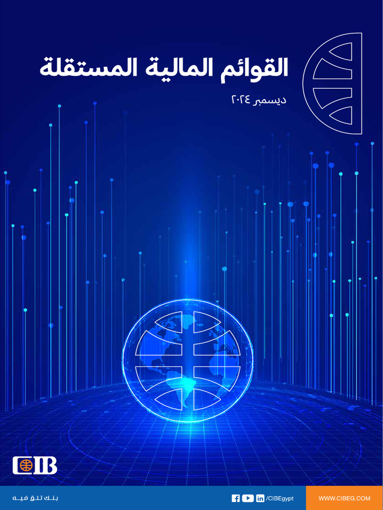 CIB Separate Financial Statements December 2024 Arabic | PDF