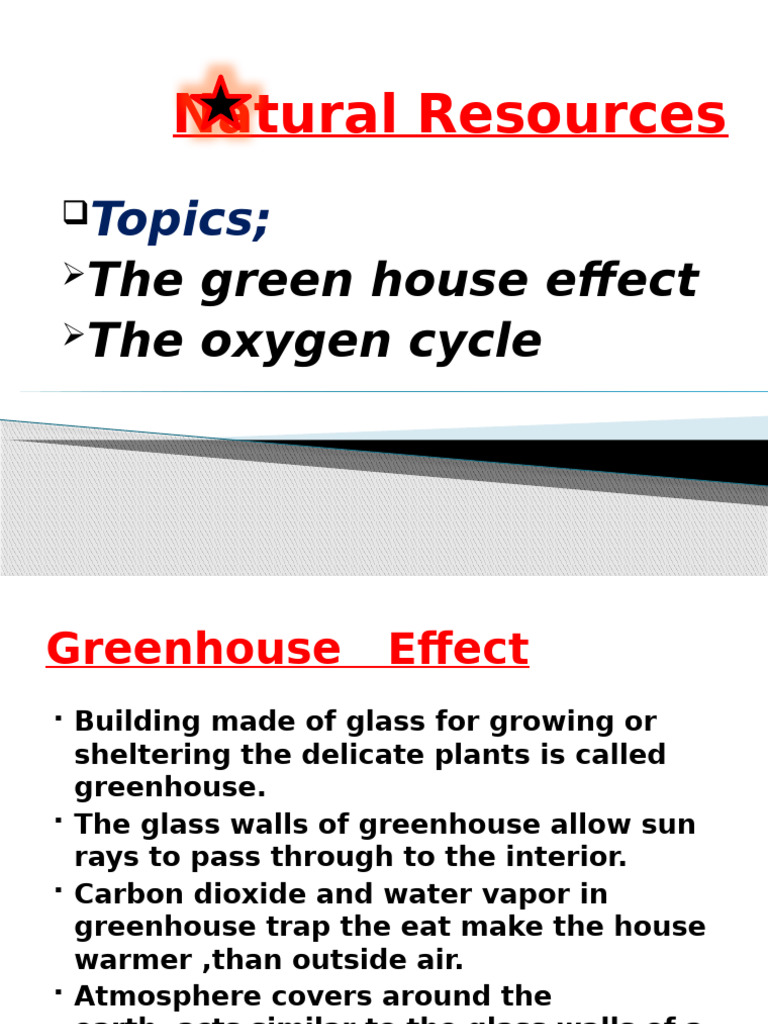 Understanding Greenhouse Effect & Oxygen Cycle | PDF