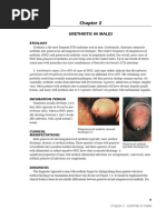 Updated BASHH Guidelines for NGU Management | PDF | Clinical Medicine ...