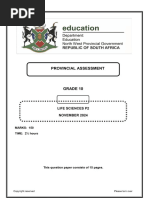 English P2 Grade 10 Term 4 Exam 2024.pages | PDF