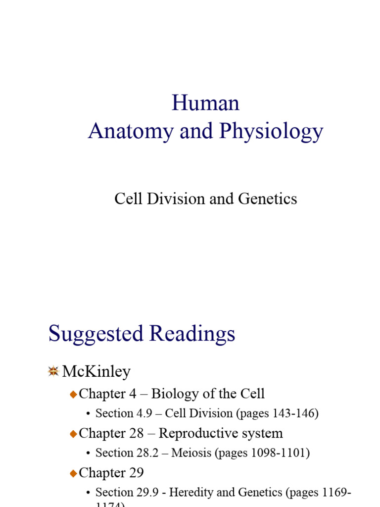1 - L08 - Cell Division and Genetics1 | PDF | Meiosis | Mitosis