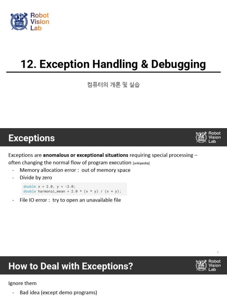 12-Exception Handling Debugging | PDF | Namespace | Software