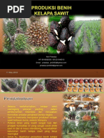 Panduan Pembibitan Kelapa Sawit | PDF