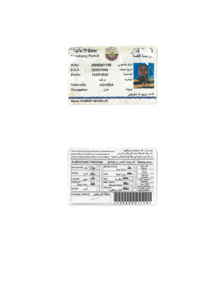 Driving Permit | PDF