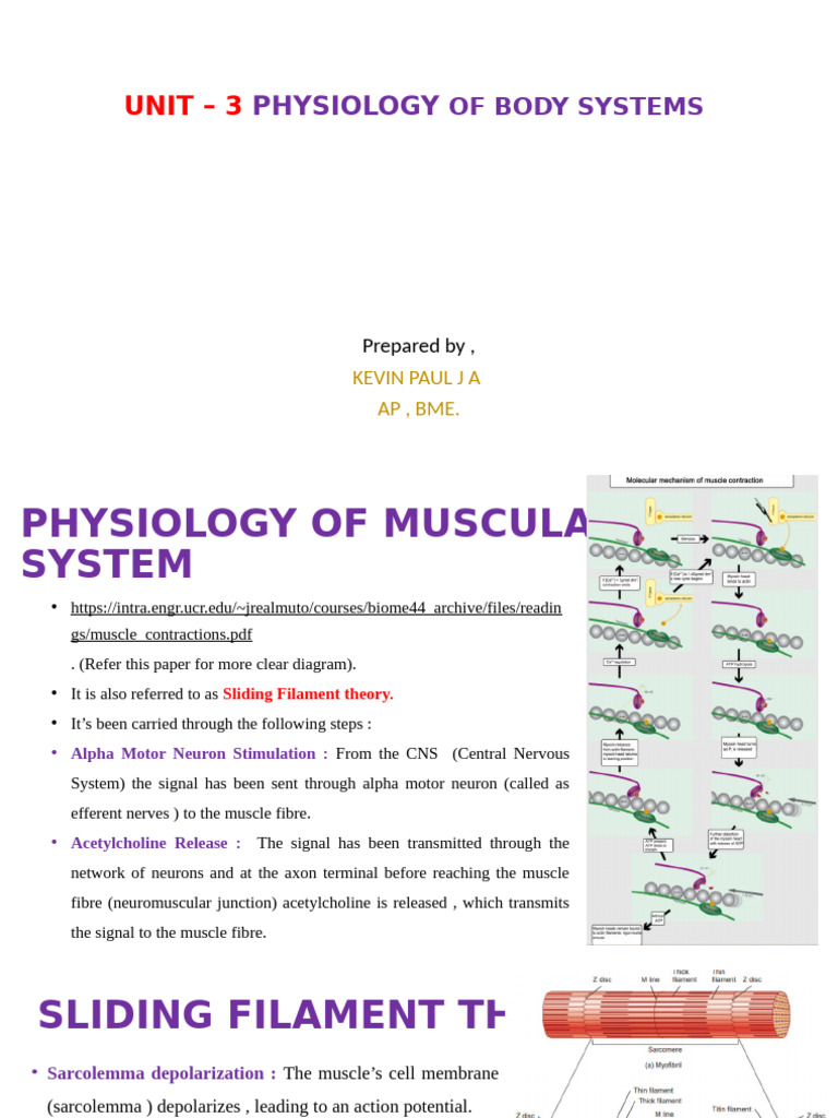 Physiology of Body Systems Overview | PDF | Motor Neuron | Nervous System