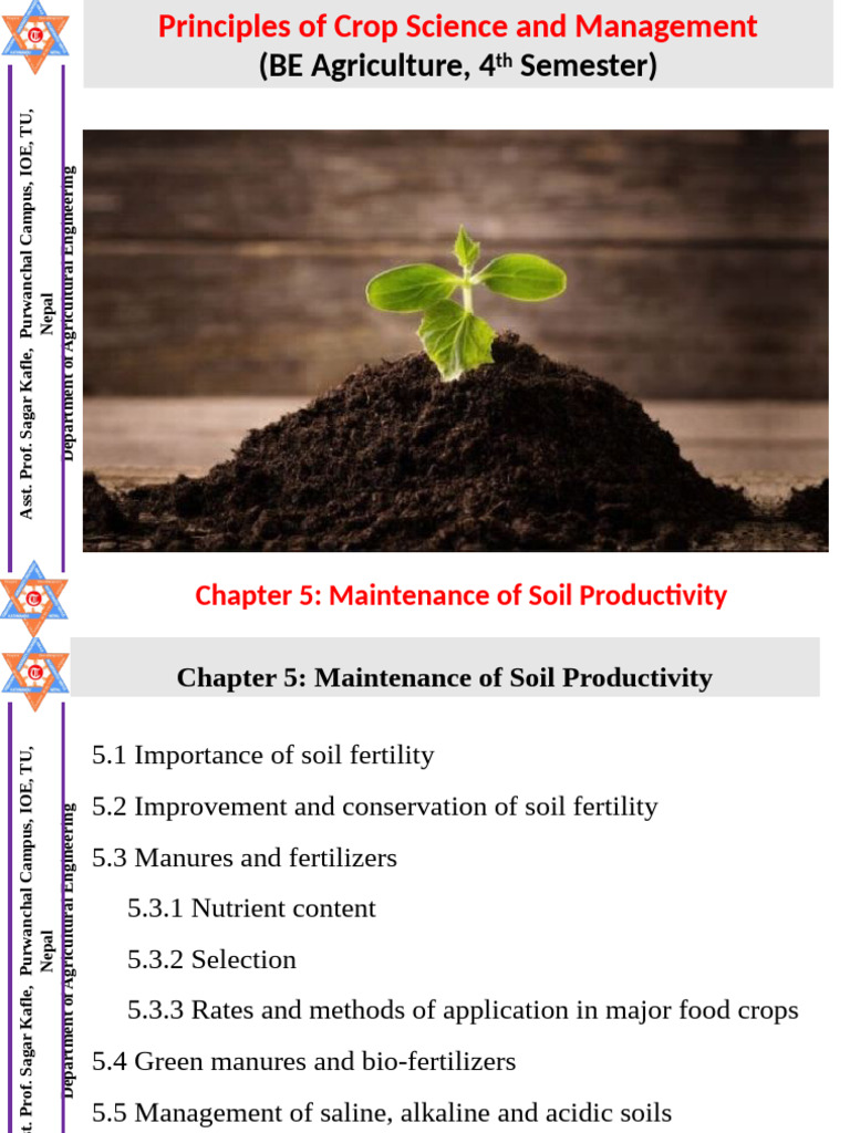 Chapter 5. Maintenance of Soil Productivity | PDF | Manure | Soil