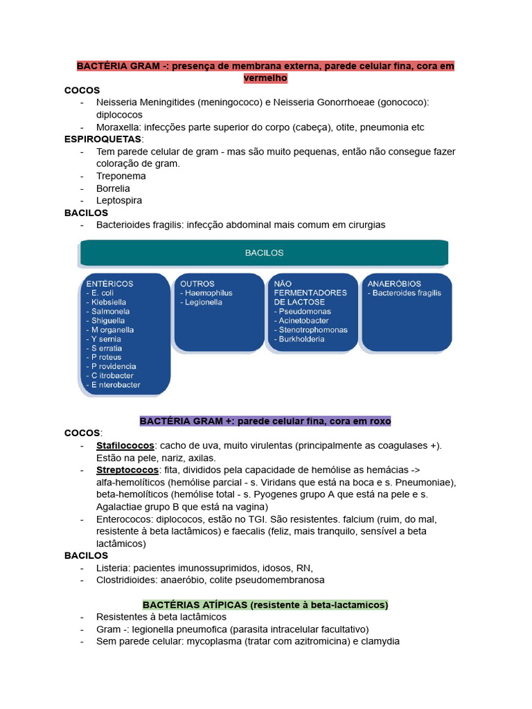 Bactérias Gram+: Tipos e Tratamentos | PDF | Penicilina | Bactérias