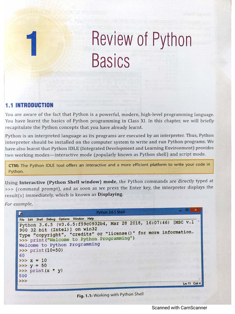 CH-1 Review of Python Basics | PDF