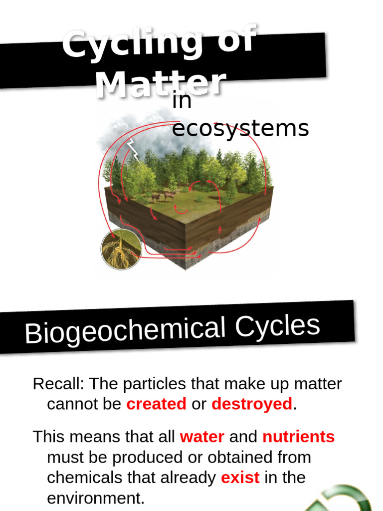 4 - Biogeochemical Cycles | PDF | Nitrogen | Ecosystem