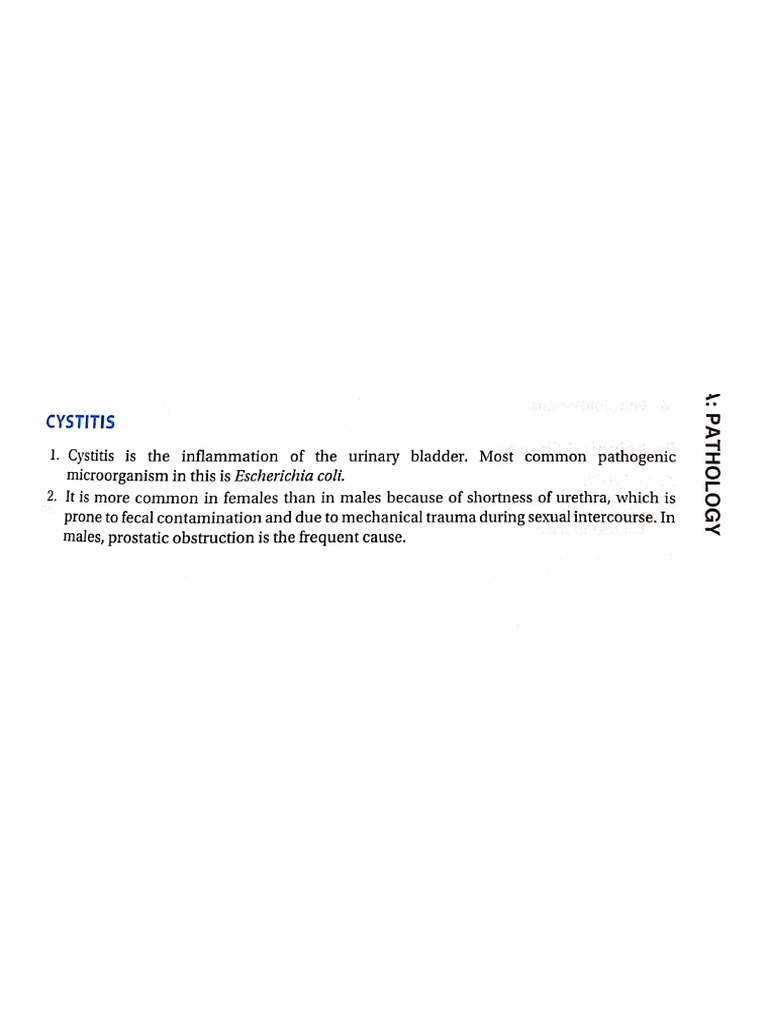 Cystitis, Pathology | PDF