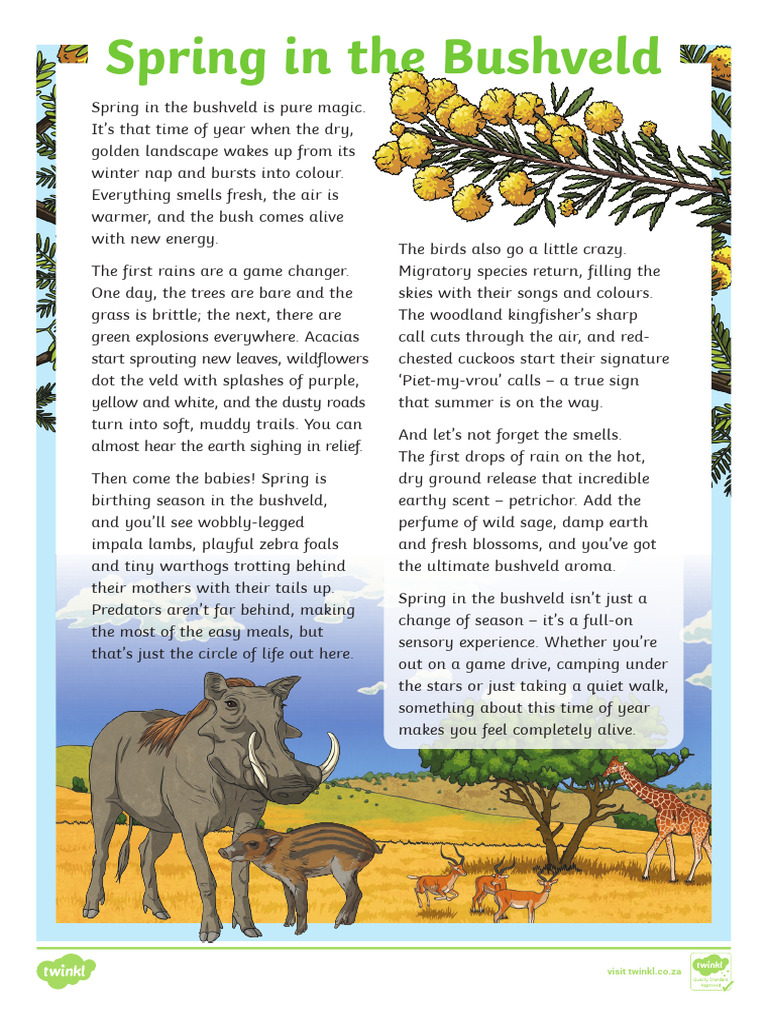 za-hl-1747056395-spring-in-the-bush-reading-comprehension | PDF