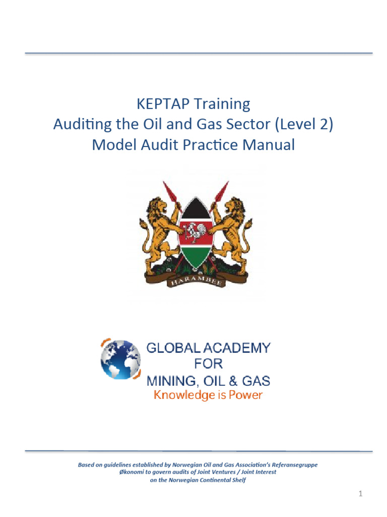 Audit Manual Training FINAL | PDF | Tax Exemption | Taxes