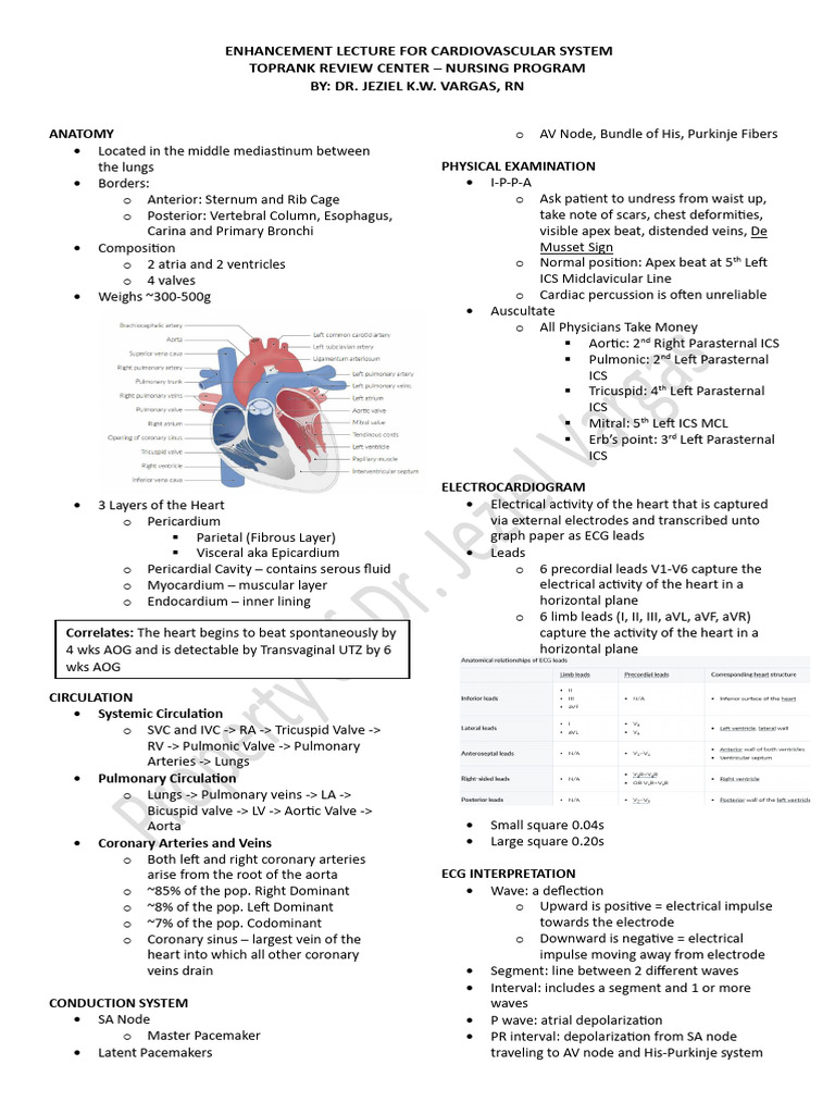 Cardiovascular System Enhancement Lecture | PDF | Electrocardiography ...
