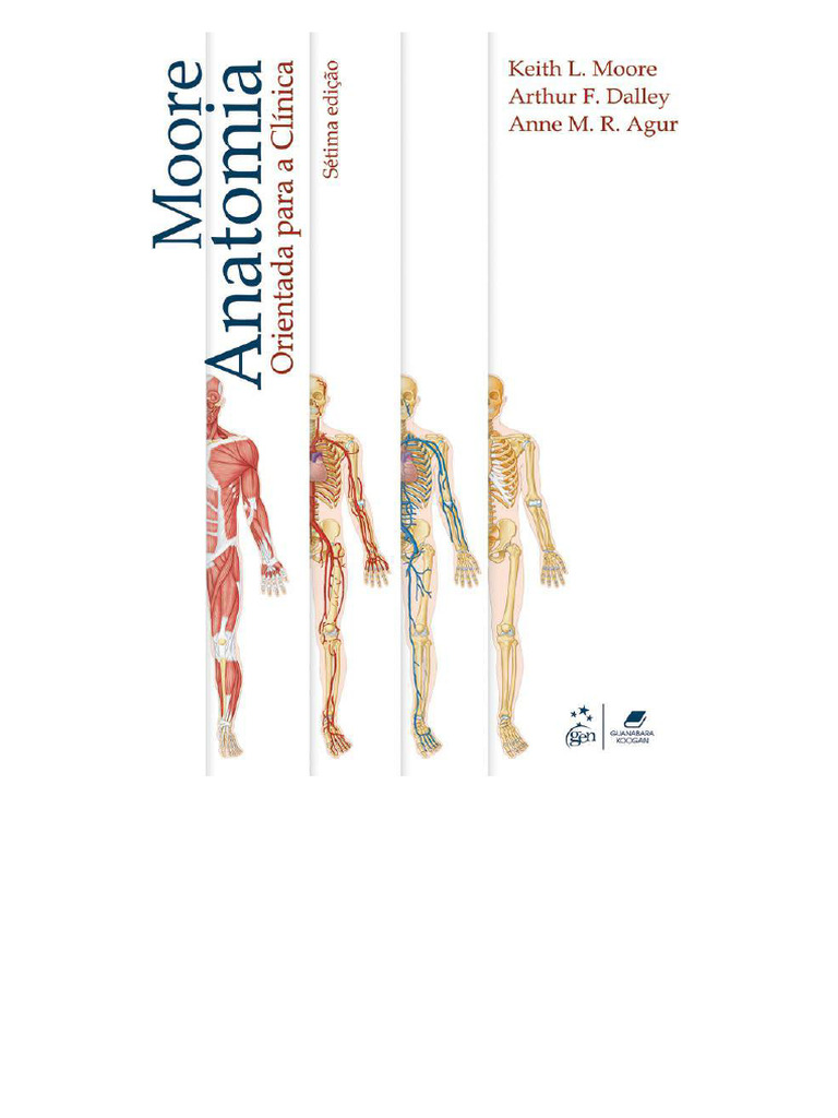 Anatomia - Moore Orientada para A Clinica 7a Ed | PDF