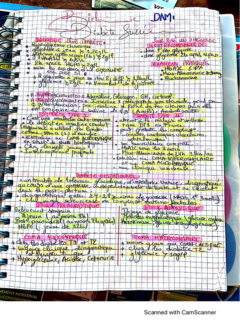 Bioch Dami | PDF