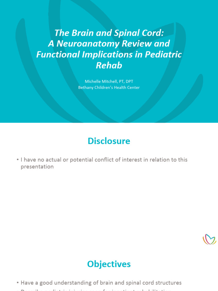 Pediatric Neuroanatomy and Rehab Insights | PDF | Motor Neuron ...