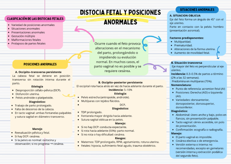 Distocia Fetal y Posiciones Anormales | PDF